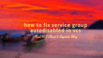 how to fix service group autodisabled in vcs – RSY Digital World
